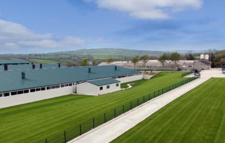Freneystown the Latest Addition to PIC’s Elite Farm System - PIC North ...