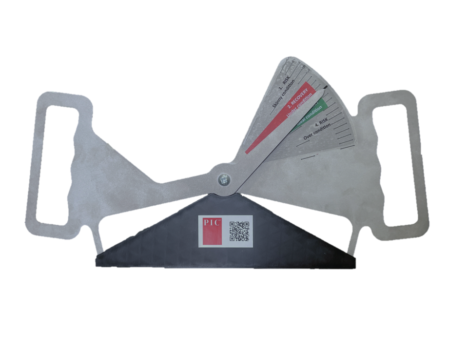 Sow Body Condition Scoring Made Simple with New Caliper Ranges - PIC UK