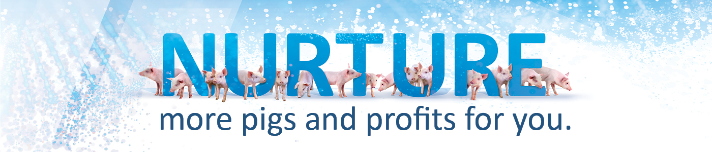 The PIC Camborough®