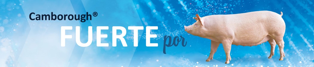 PIC Camborough® - PIC LATAM