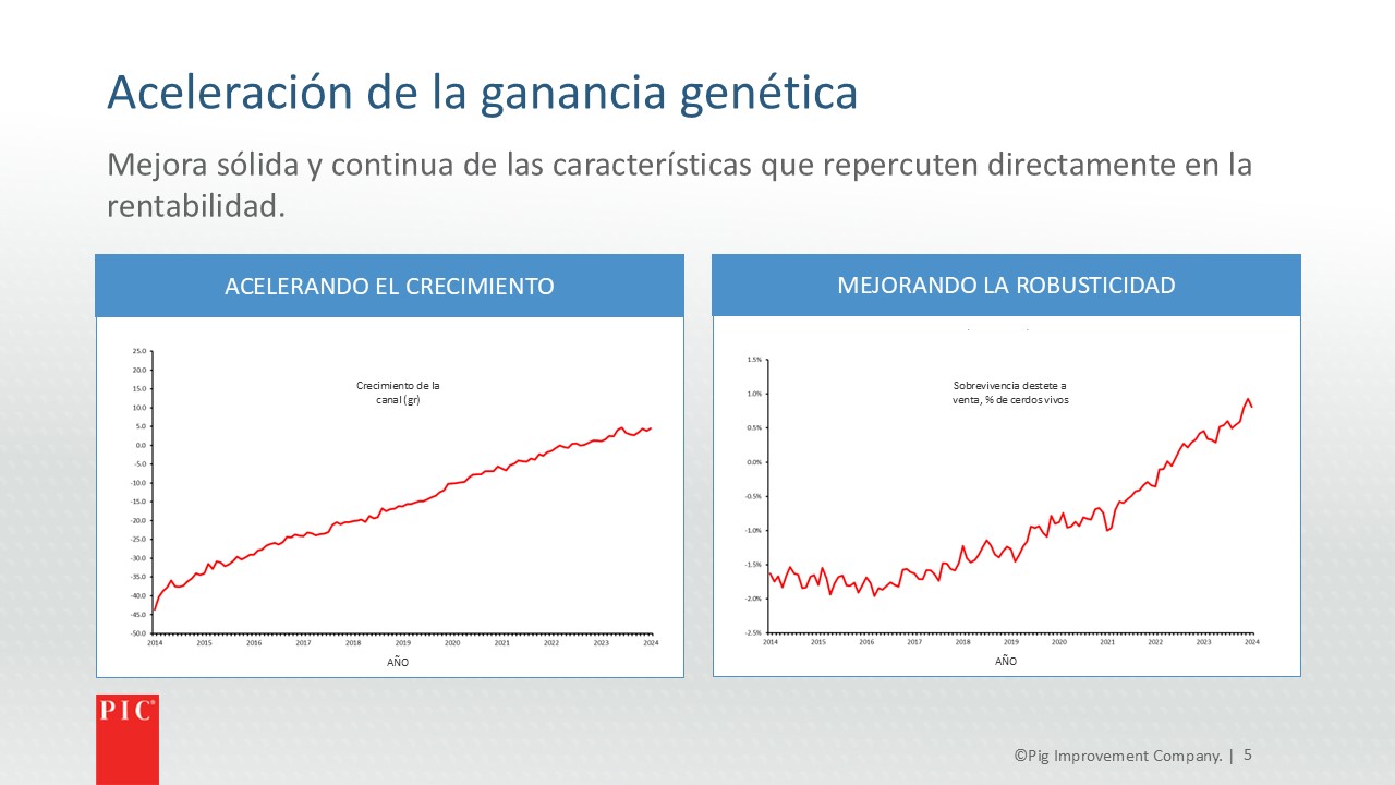 PIC®800 - PIC LATAM